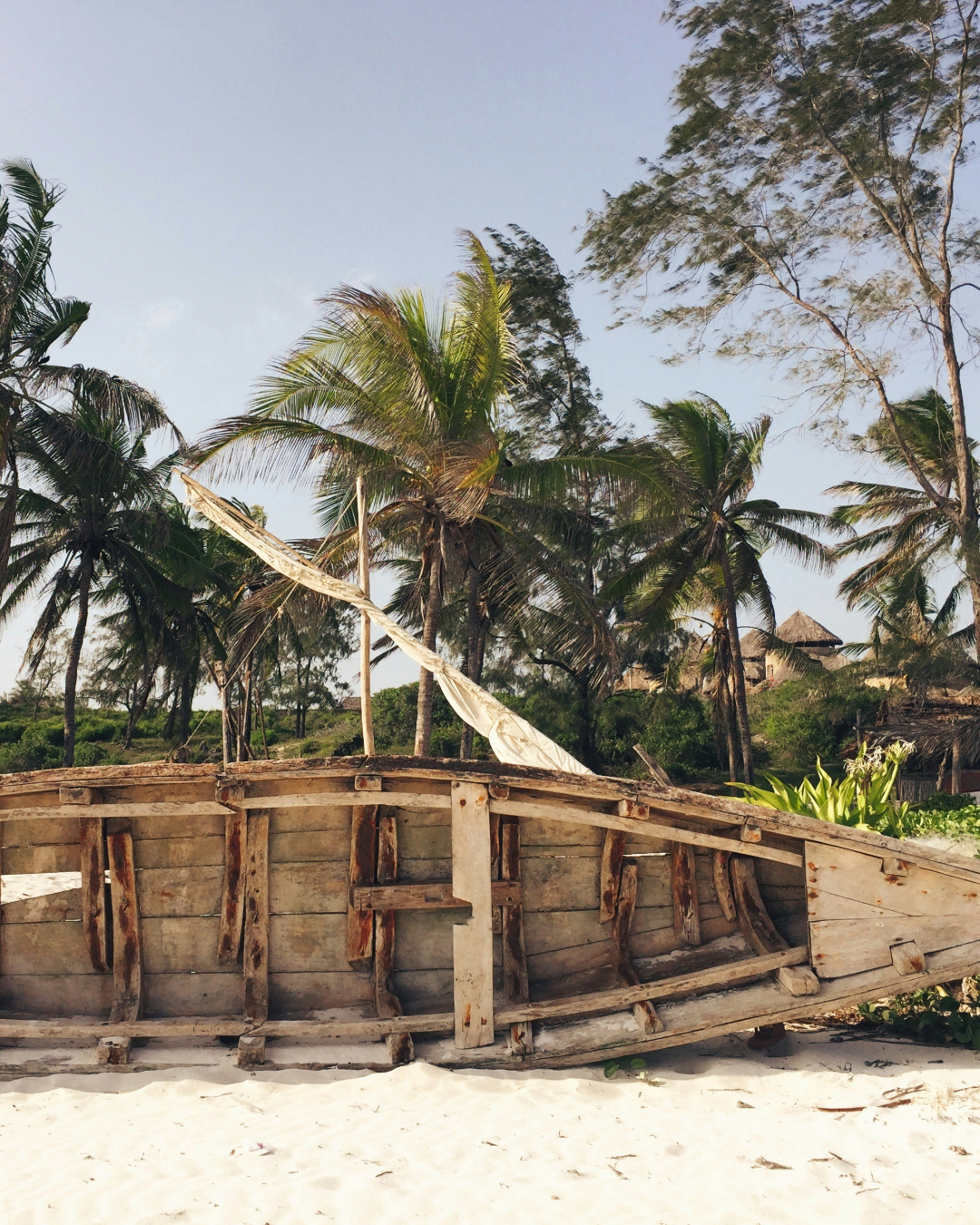 Saga África - La Fée Maraboutée